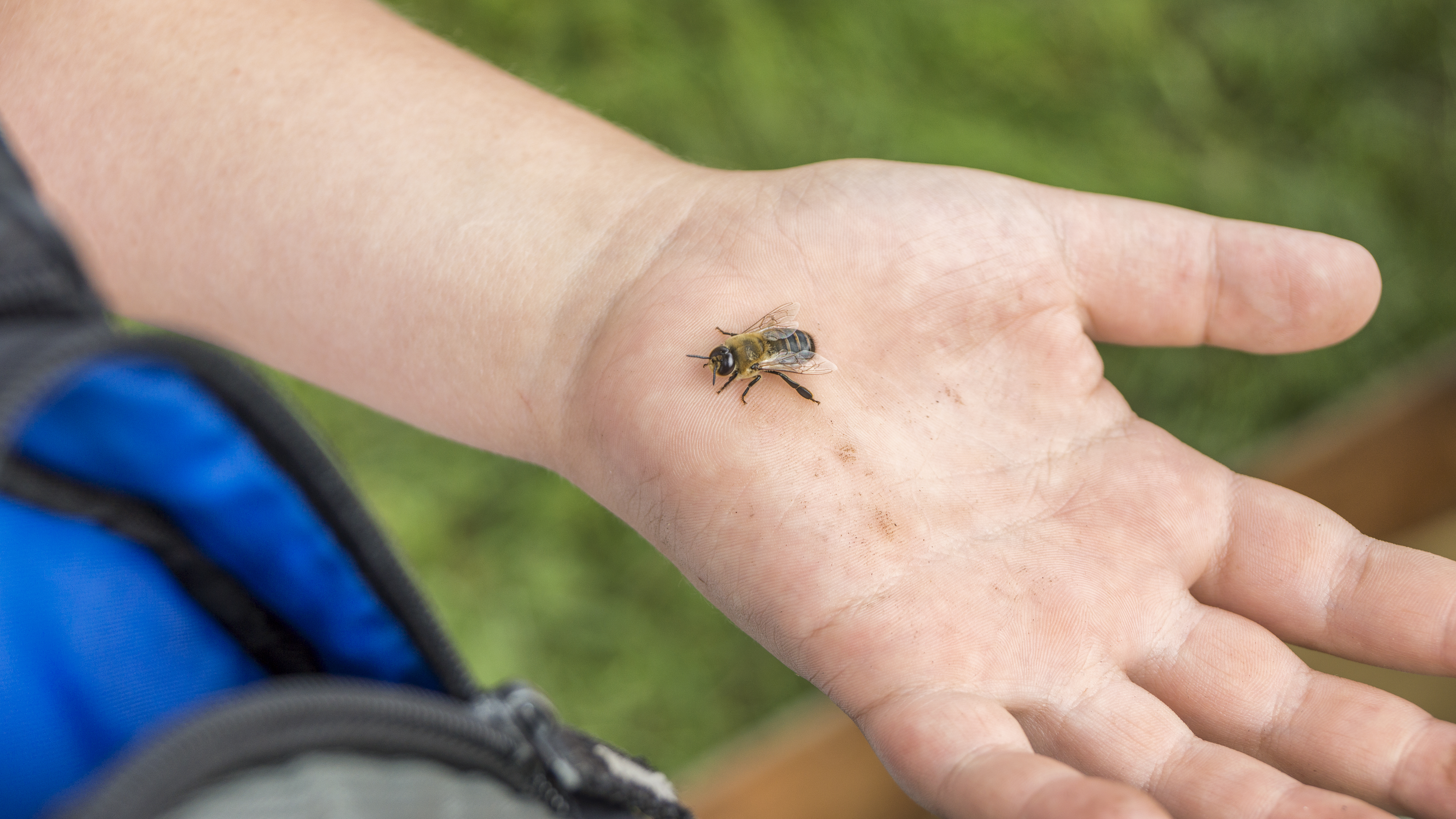 Forside - Oslo universitetssykehus HF